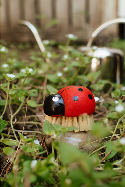 Ladybug Nail Brush – Fillgood